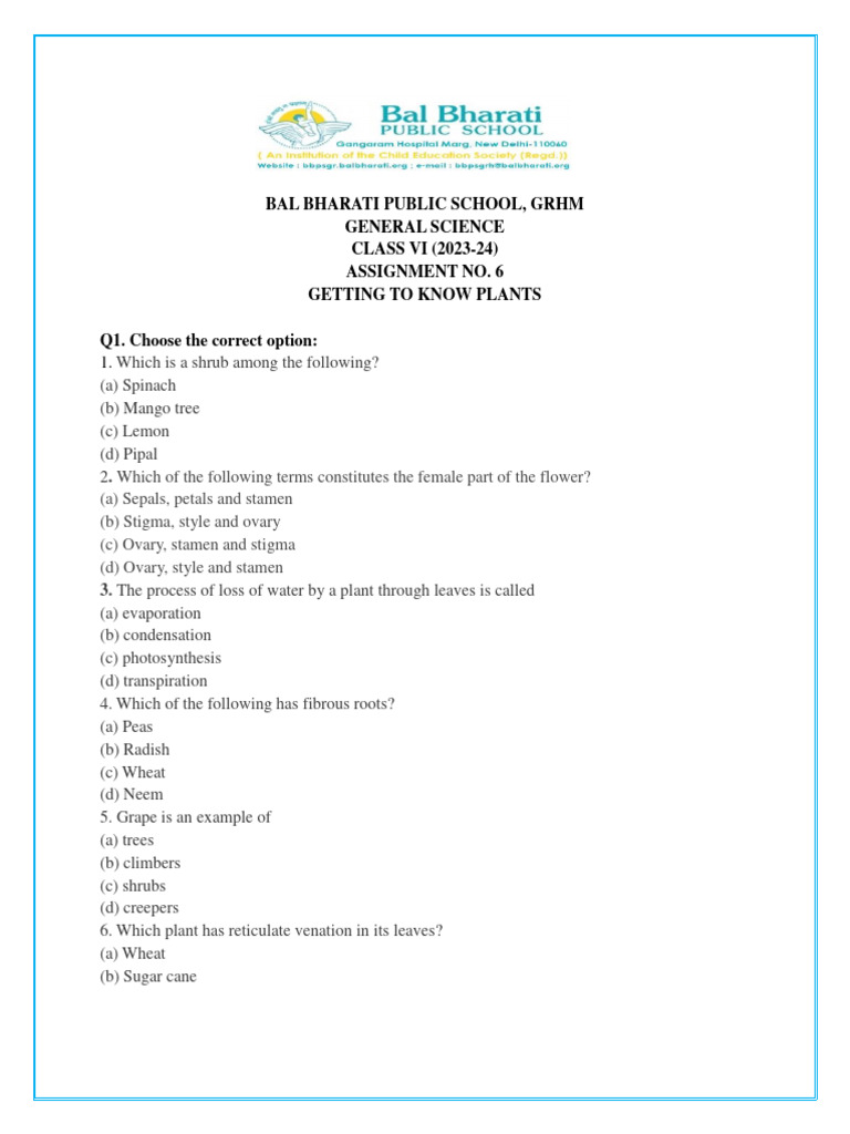 VI - G.Science - 6 - GETTING TO KNOW PLANTS | PDF | Leaf | Horticulture