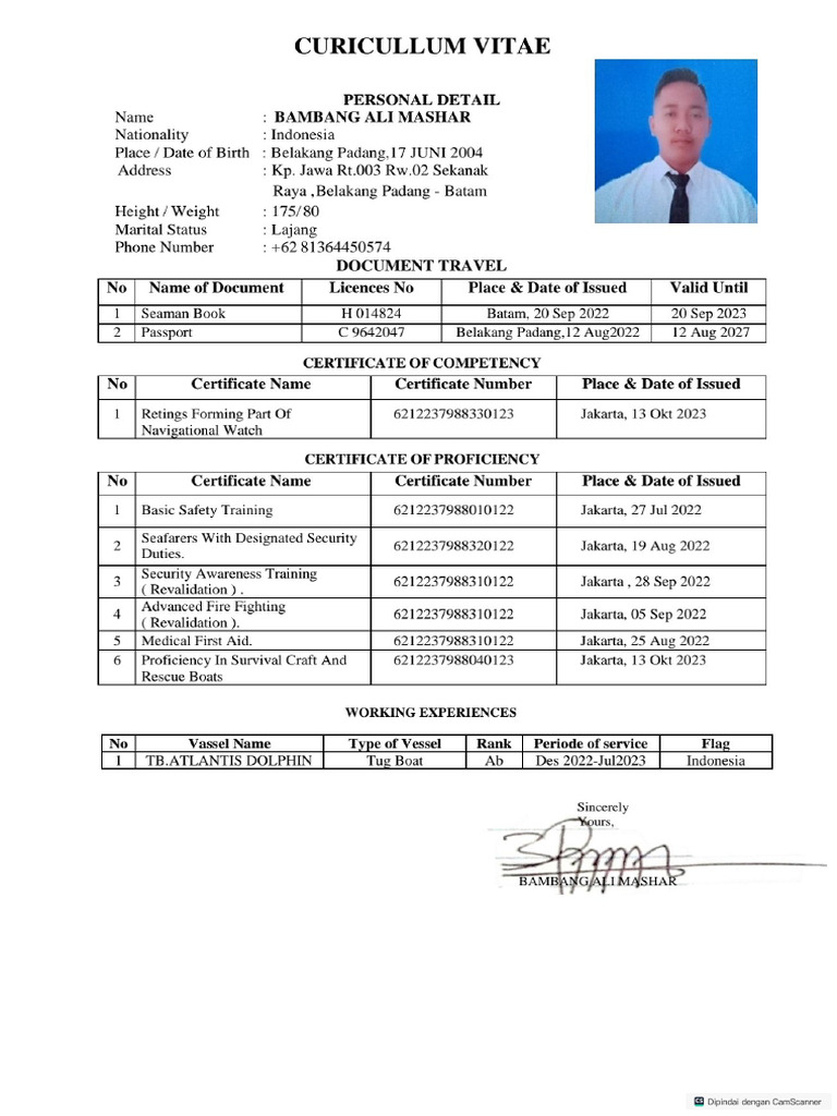 CV Mashar.2023 | PDF
