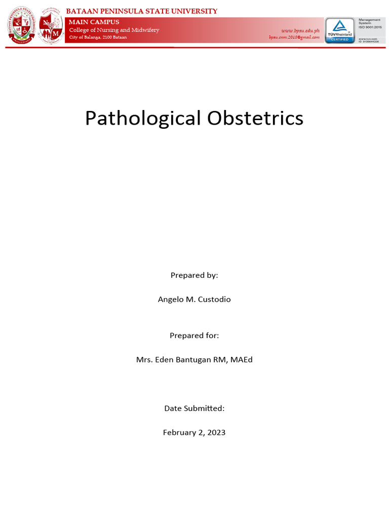Custodio Angelo Portfolio OB | Download Free PDF | Childbirth ...