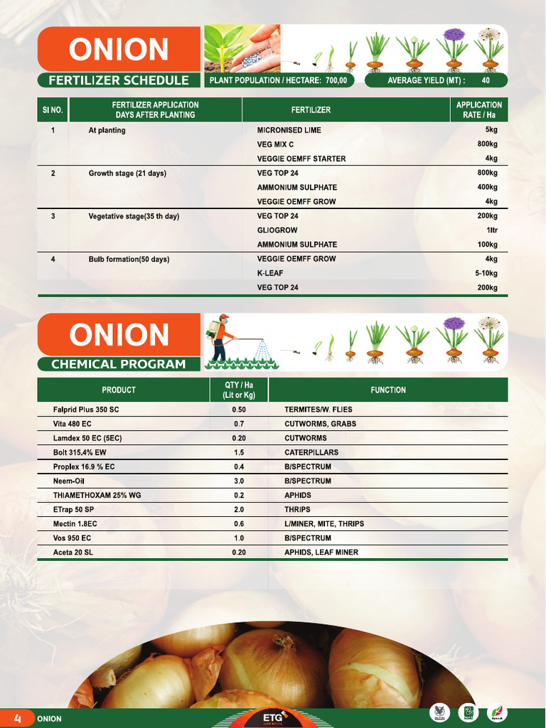 ONION - CROP PRAGRAMM | PDF