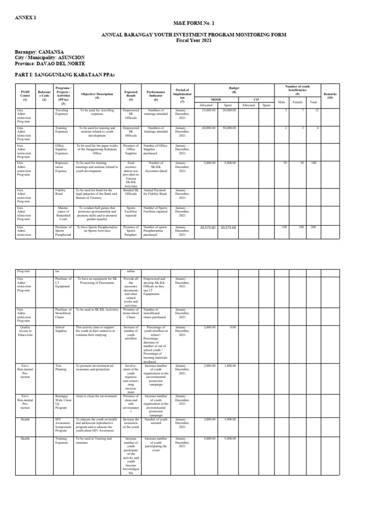 2020 ABYIP ACCOMPLISHMENT REPORT Copy - 1 | PDF