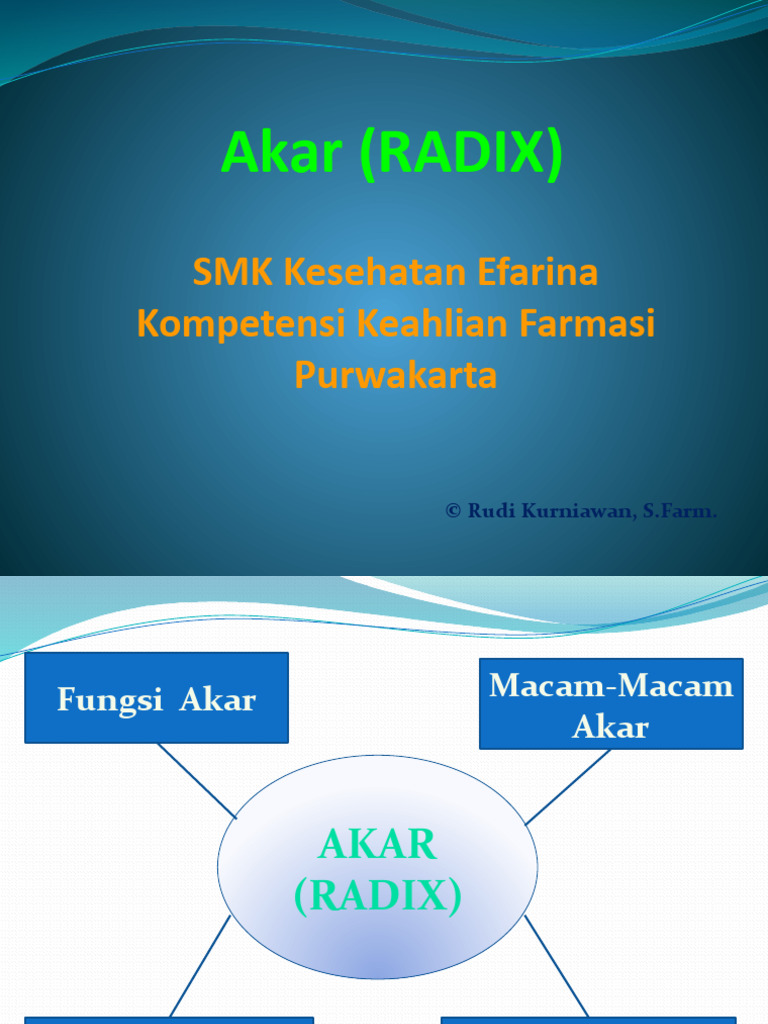 Radix | PDF