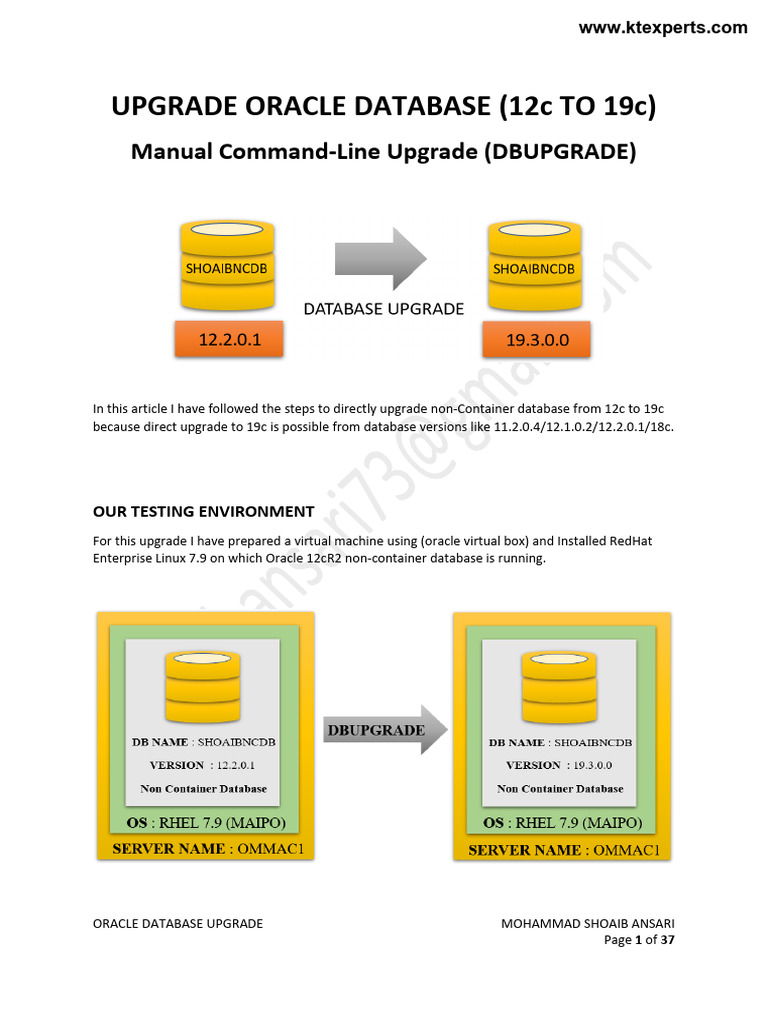 12c NonCDB To 19c NonCDB Manual Upgrade-Article | PDF | Databases | Oracle Corporation