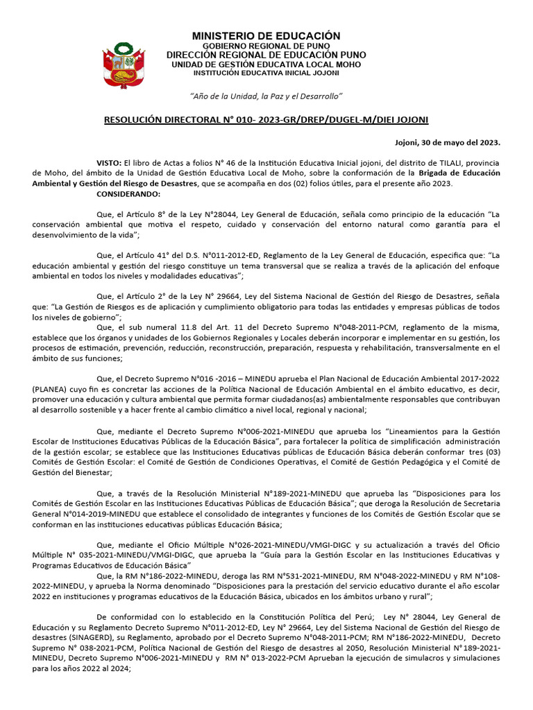 RD #10-Brigada-De-Ea-Y-Grd-2023 Inicial Jojoni | PDF | Educación primaria