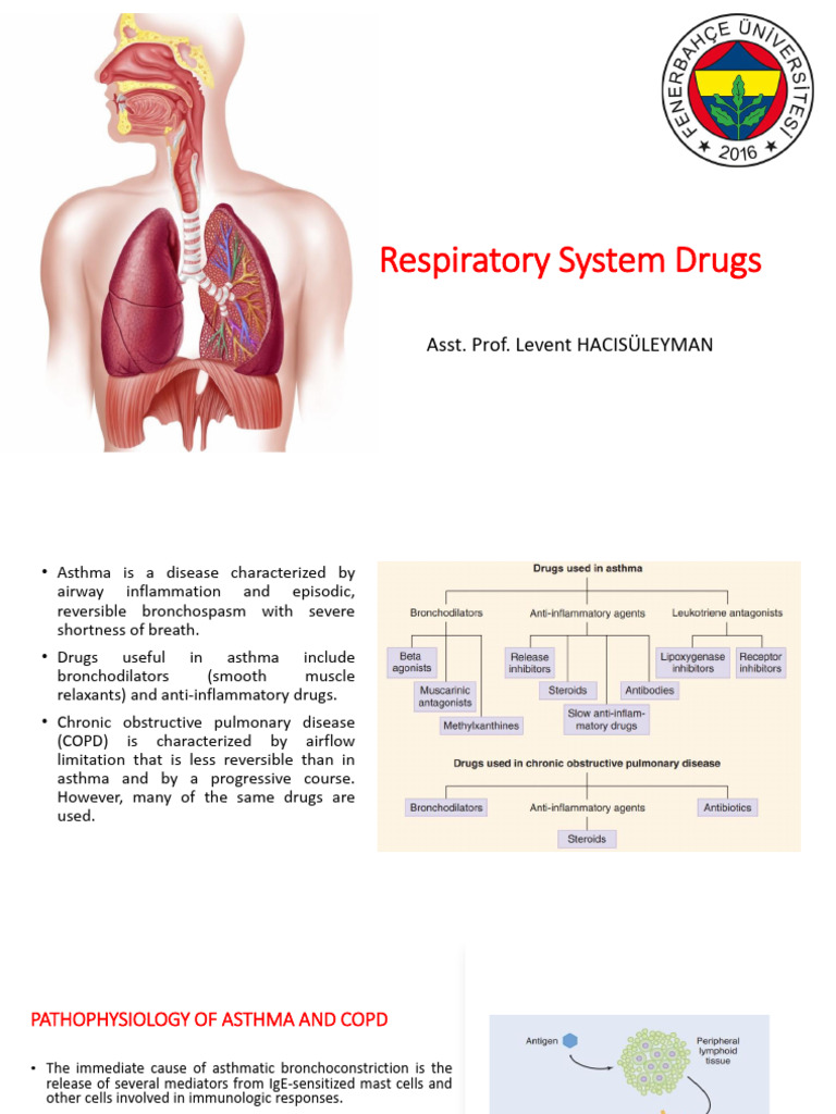 Respiratory System Drugs | PDF | Asthma | Chronic Obstructive Pulmonary ...