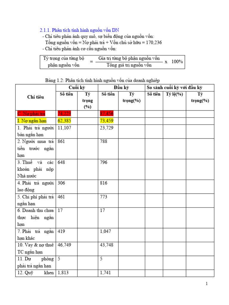 Huong Dan Bao Cao Tieu Luan PTBCTC (Mau) | PDF