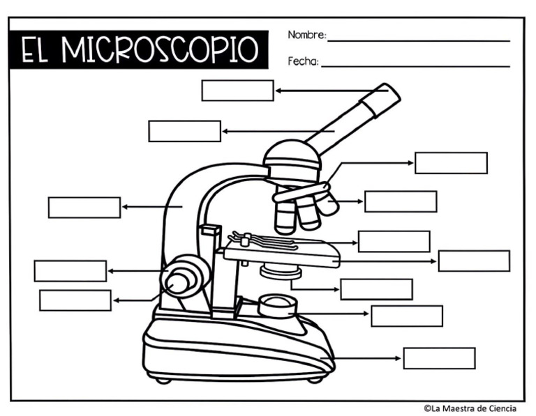 El Microscopio | PDF