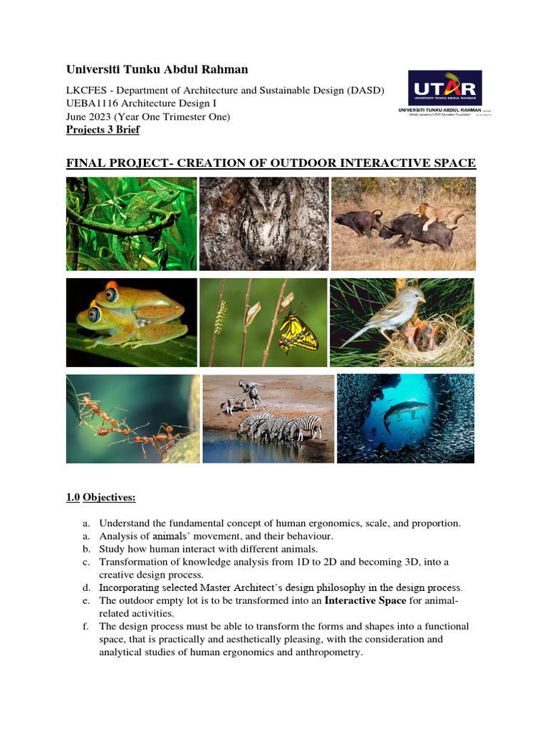UEBA1116 - Project 3 Brief (JUNE 2023) | PDF | Ethology | Design