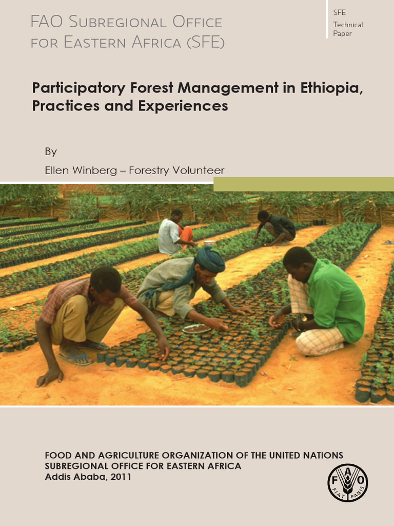 Participatory Forest Management in Ethiopia, Practices and Experiences ...