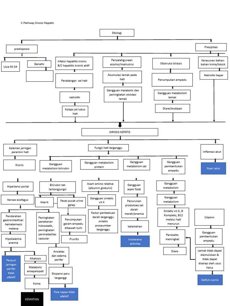 Yamin Pathway Tutor | PDF