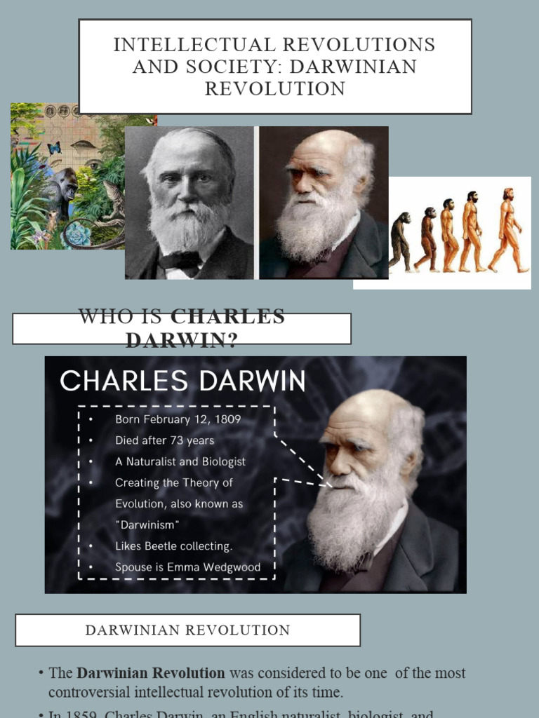 Lesson 6 Darwinian Theory of Revolution | PDF | Natural Selection ...