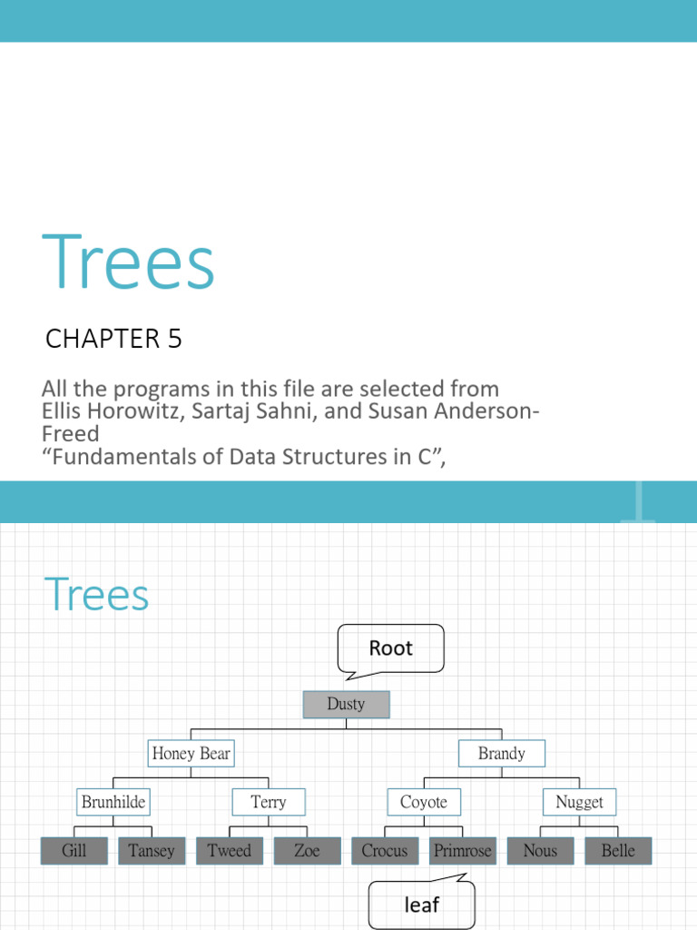 6 Trees | PDF | Theoretical Computer Science | Mathematical Logic