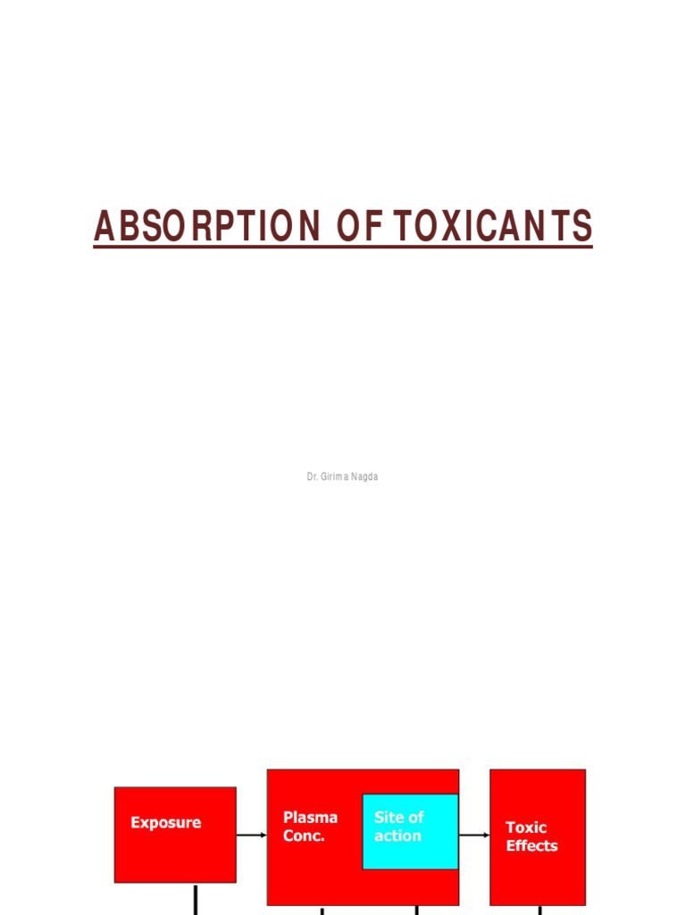 51_absorption of toxicants | PDF | Respiratory Tract | Cell Membrane