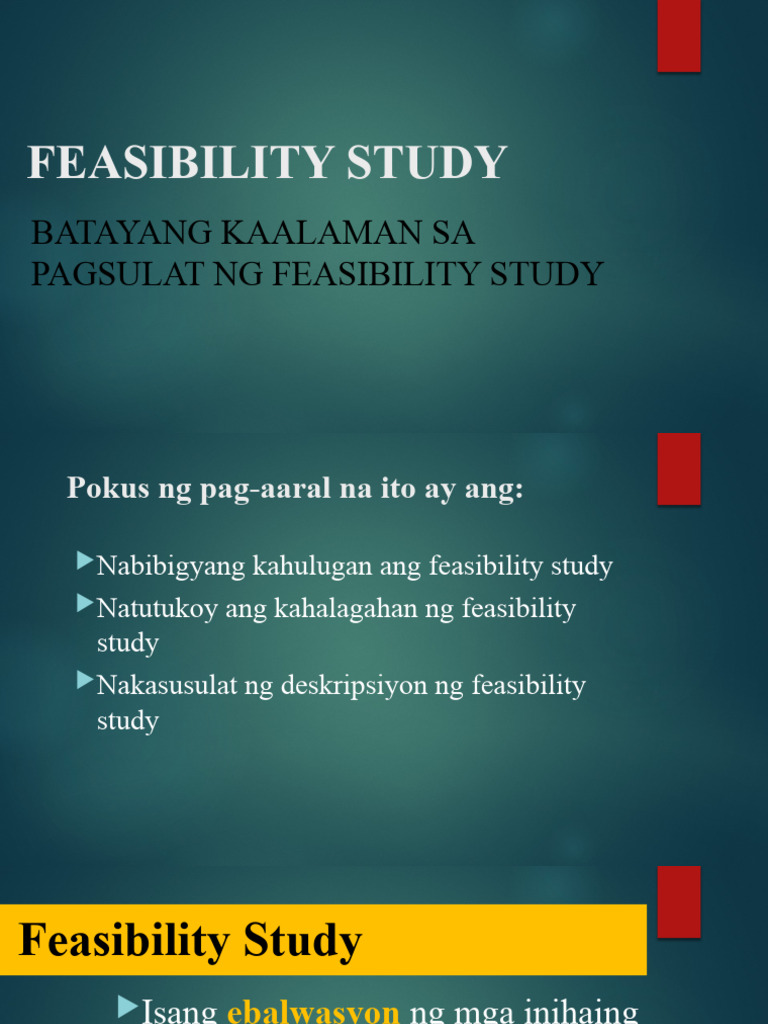 Feasibility Study | PDF