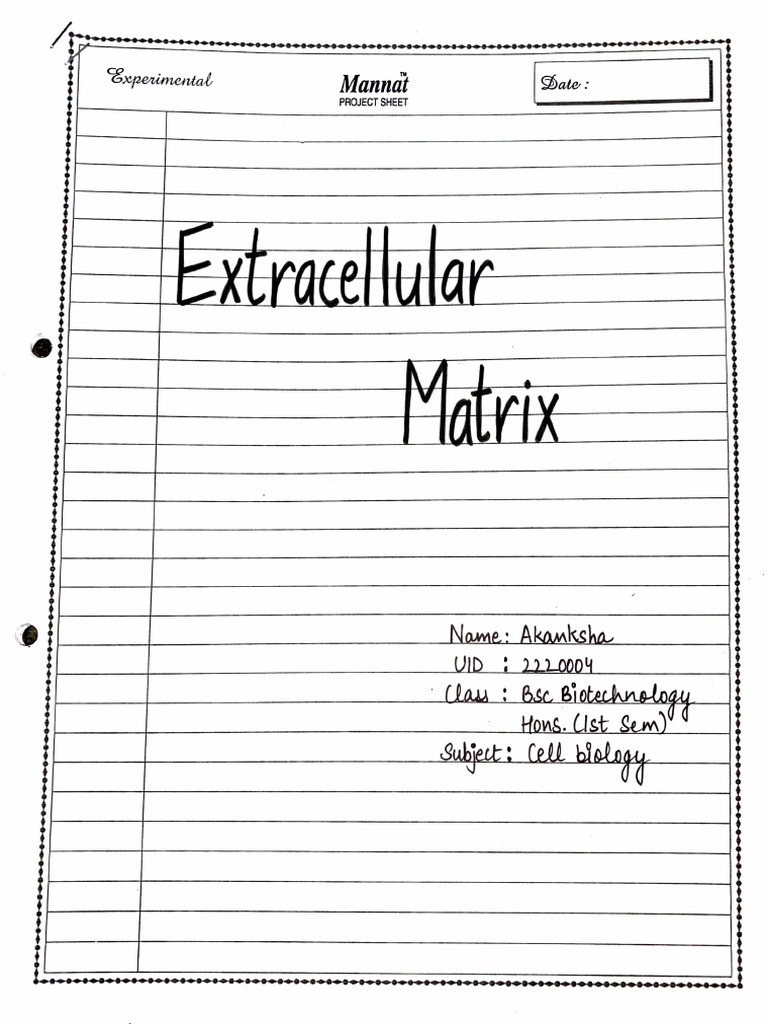 Extracellular matrix | PDF