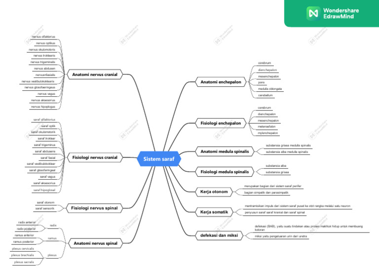 Mind Map Neuro Topik 1 | PDF