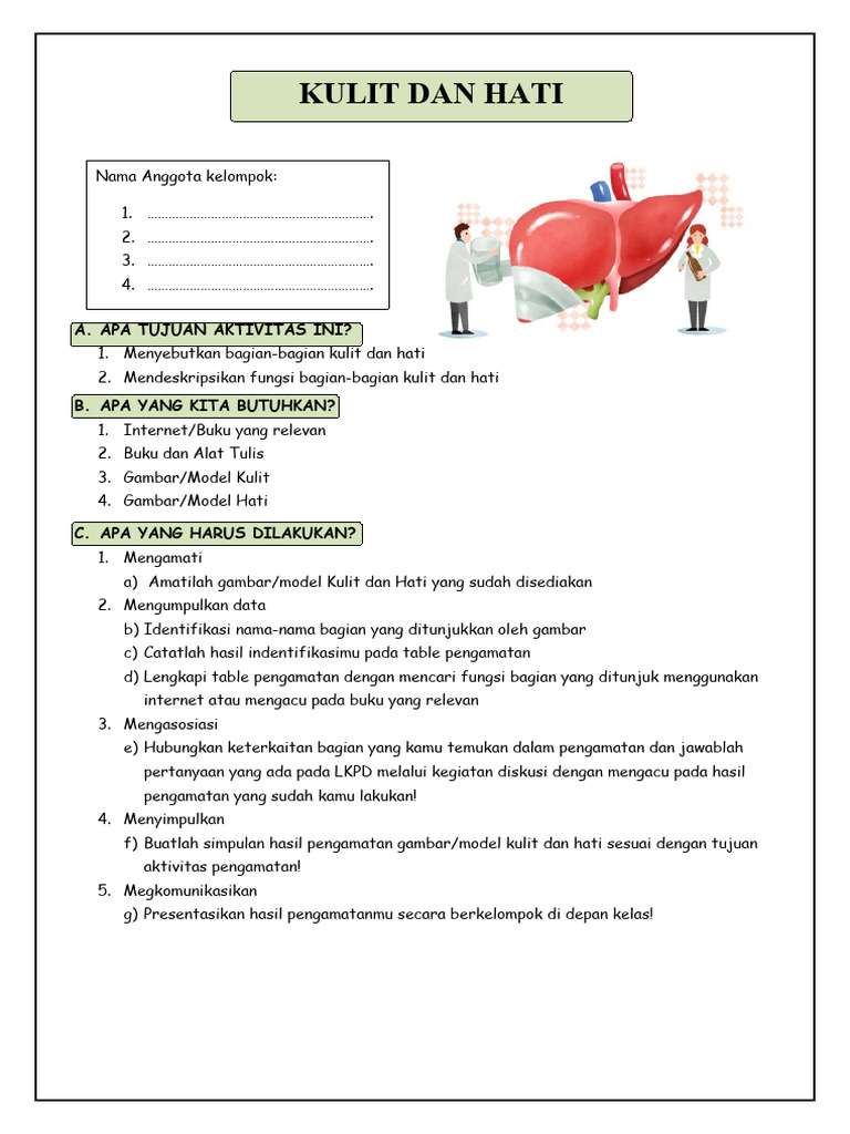 LKPD 4. (Kulit Dan Hati) | PDF
