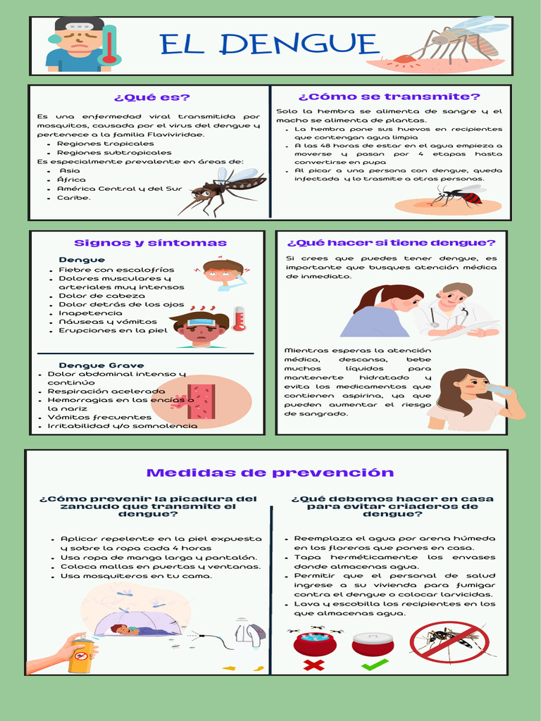Infografia Del Dengue | PDF | Especialidades Medicas | Medicina CLINICA