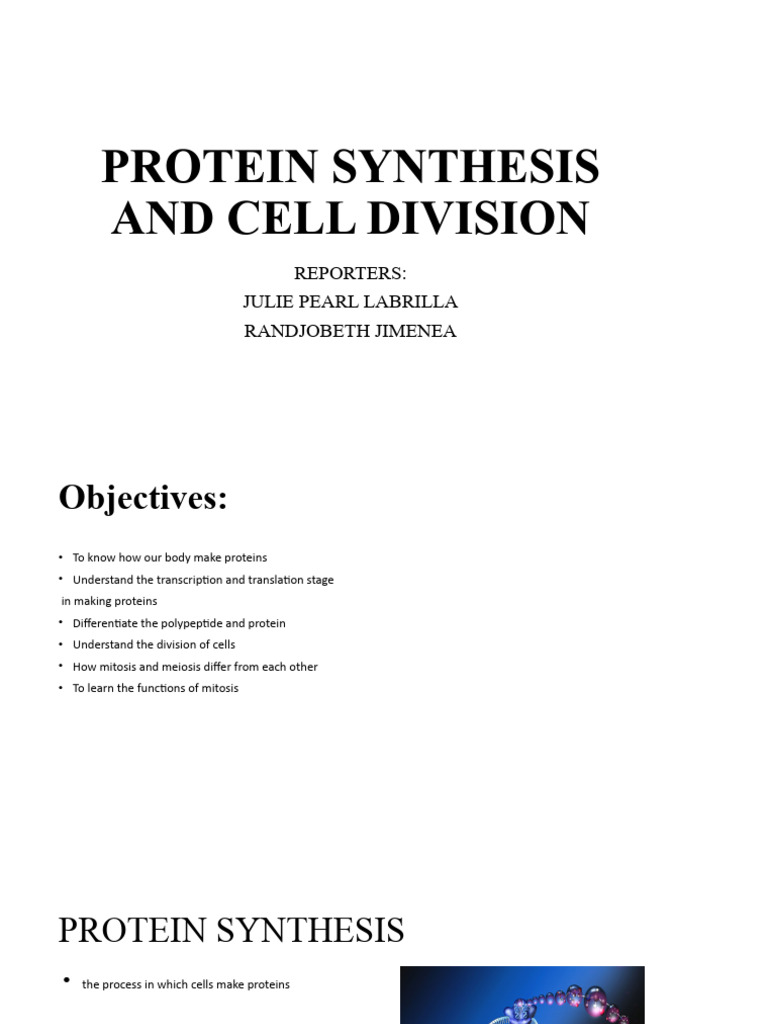 Protein Synthesis & Cell Division Guide | PDF | Mitosis | Cell (Biology)