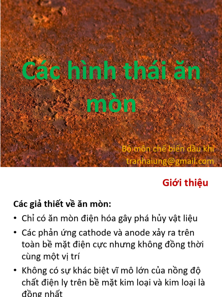 BaiGiang 10 HinhThaiAnMon | PDF