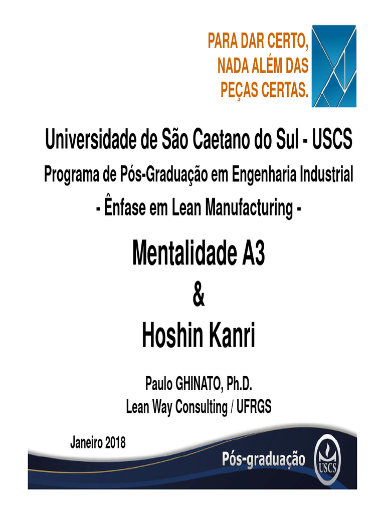 Hoshin e A3 | PDF