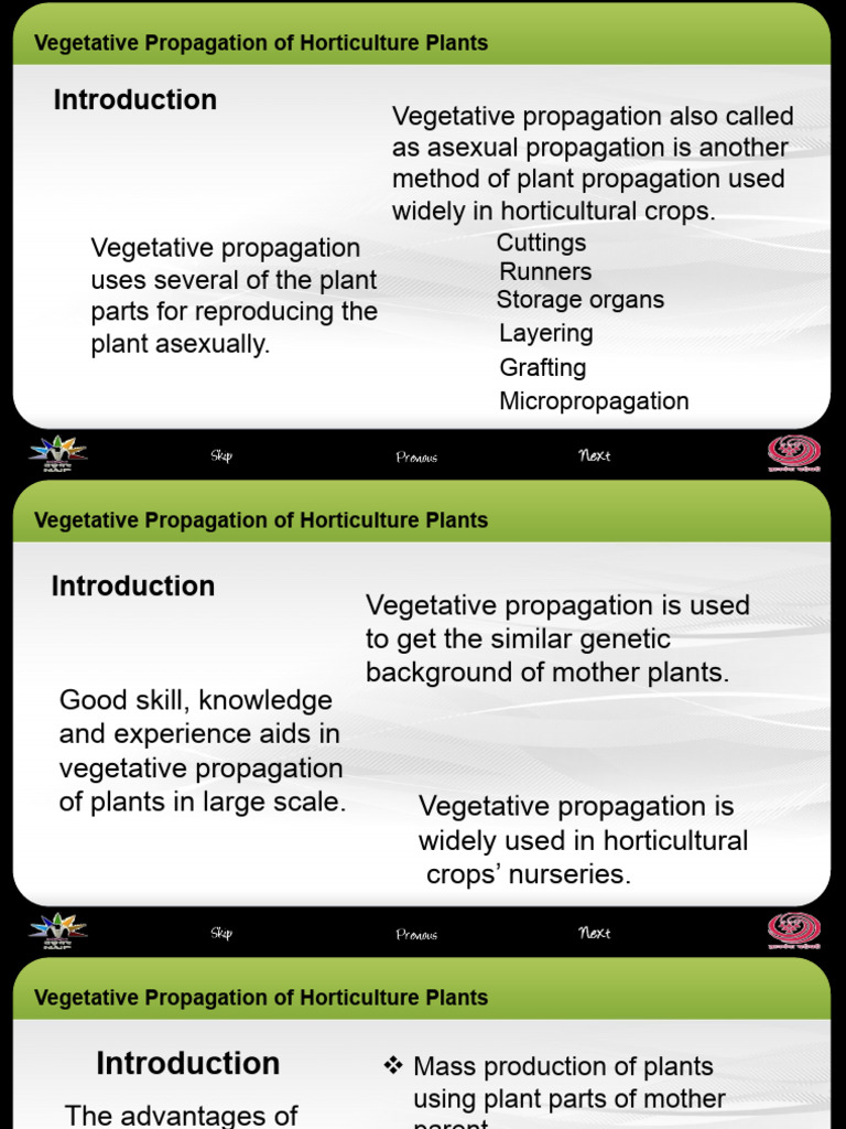 2 LECTURE - Plant - Propagation | PDF | Grafting | Plants