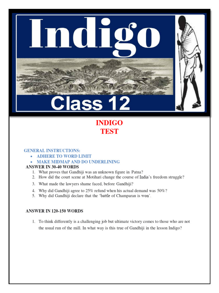 12 English-Indigo-Assignment | PDF