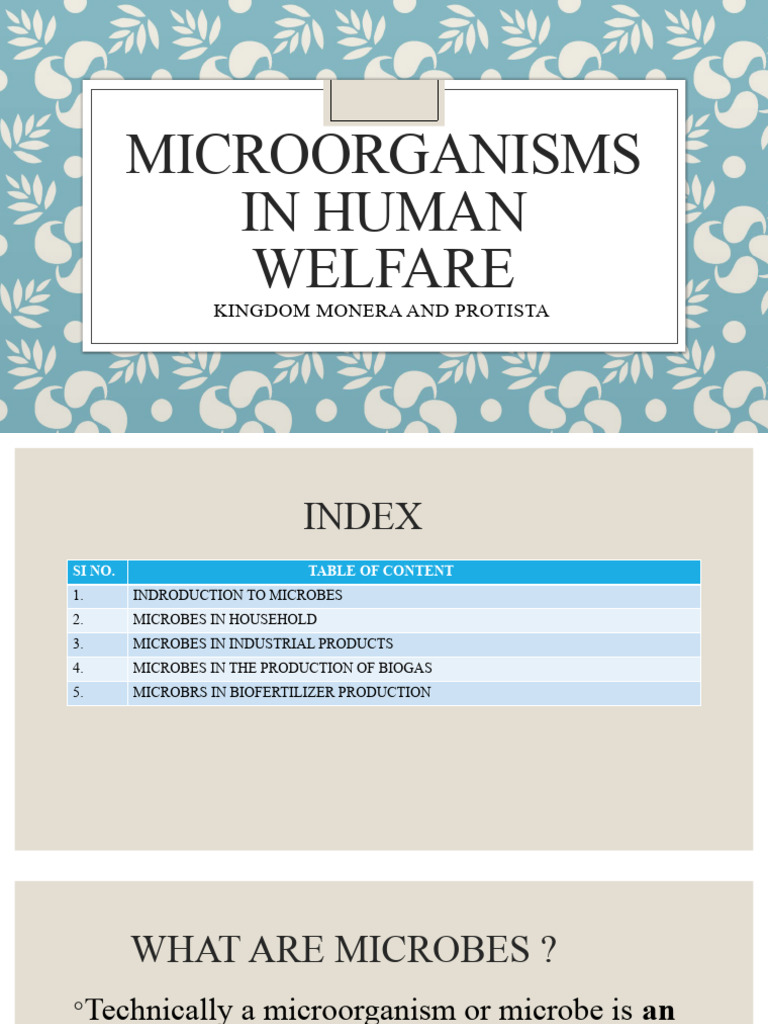 Bio Microbes in Human Welfare | PDF | Microorganism | Bacteria