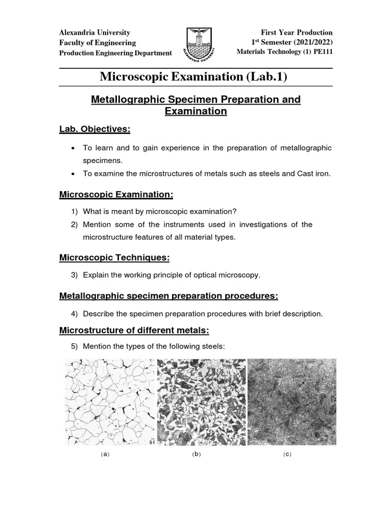 Lab 1 Microstructure | PDF | Art | Science & Mathematics
