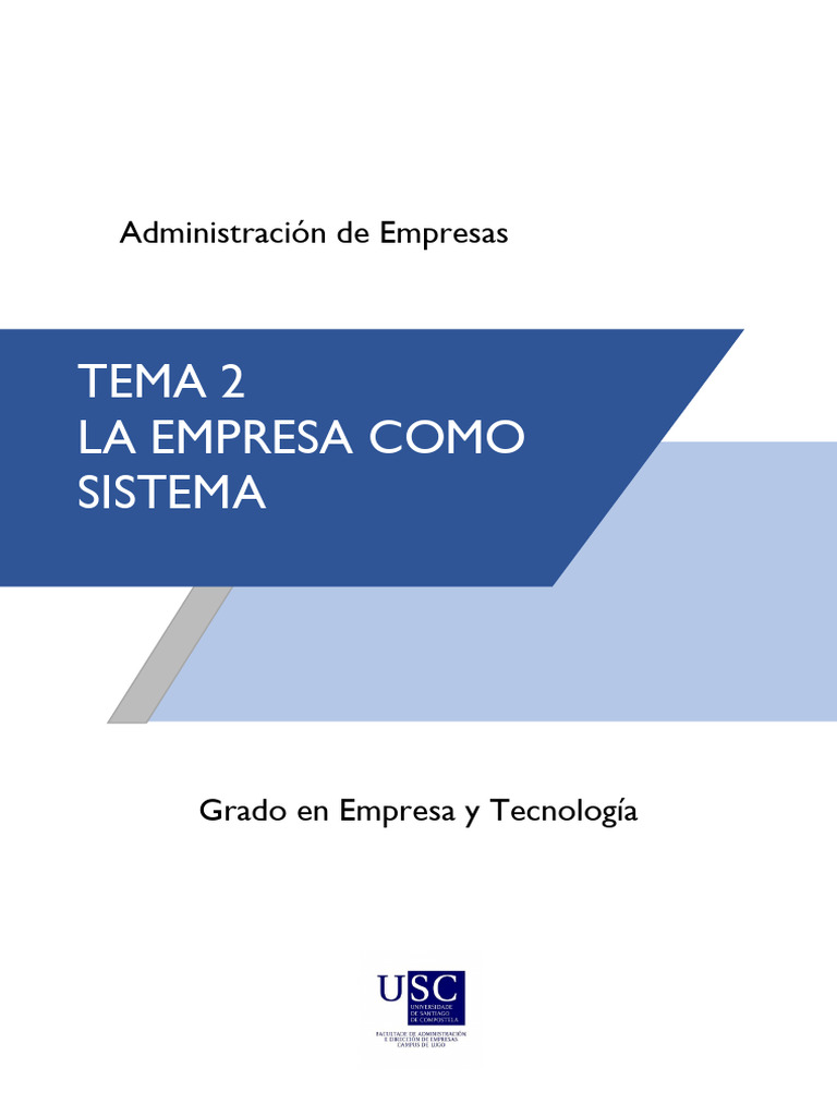 Tema 2. La Empresa Como Sistema | PDF | Business | Marketing