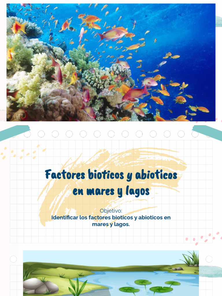 5° Factores bioticos y abioticos en mares y lagos | PDF | Mar | lago
