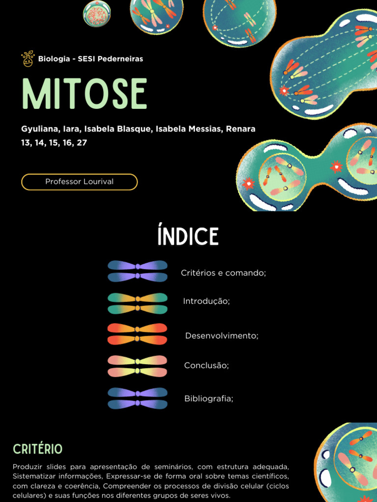 MITOSE | PDF | Meiose | Mitose