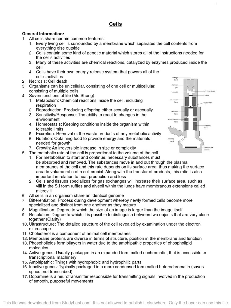 复习笔记IBDP Biology SL complete notes | PDF | Cell Potency | Cell (Biology)
