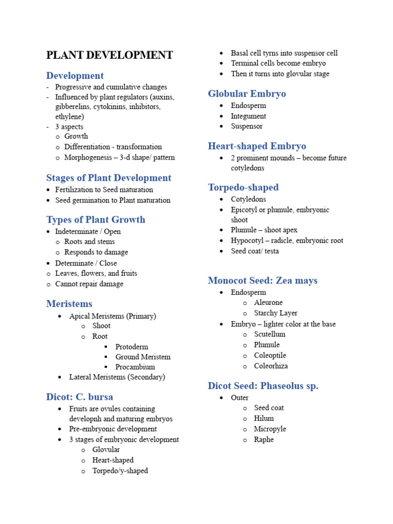 Plant Development Overview | PDF | Seed | Embryo