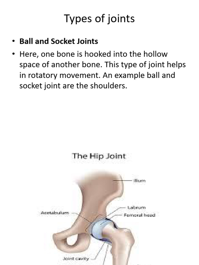 Joints and Movements | PDF | Anatomical Terms Of Motion ...