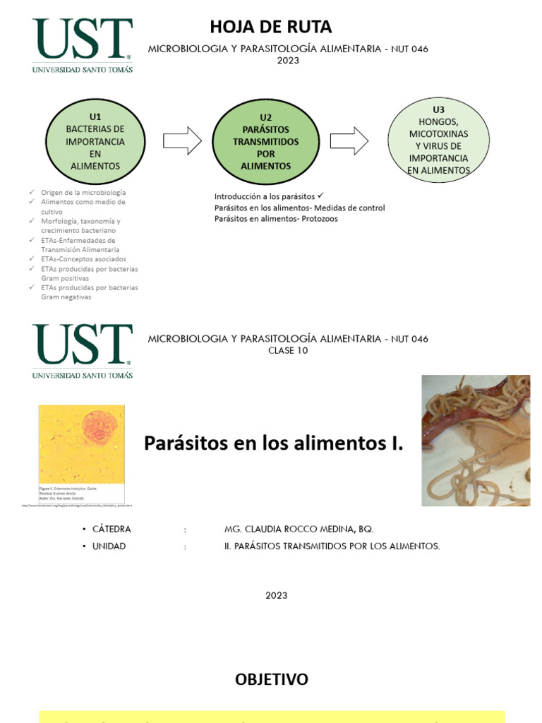 NUT046 CLASE 10A 17 05 23 Parã¡sitos en Alimentos | PDF | Alimentos | Agua