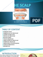 IVPB and IVP Medication Administration Guide | PDF | Intravenous ...