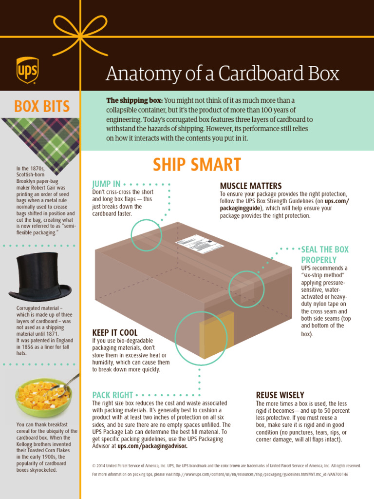 Boxinfographic | PDF | Consumer Goods | Materials