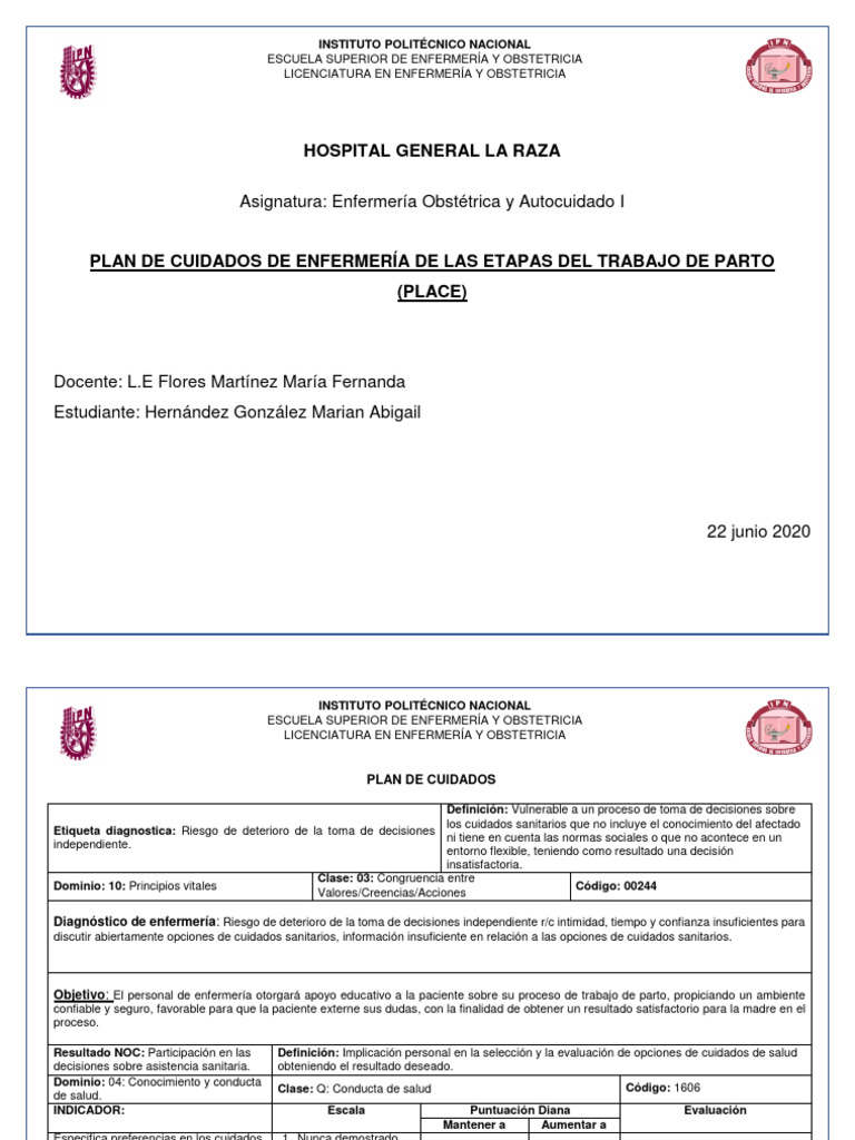 PLACE Etapas del trabajo de parto | PDF | Parto | Partería