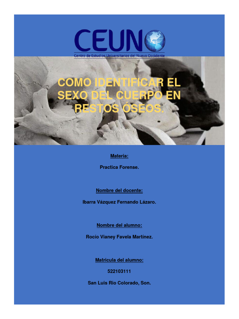Tarea #1 de Practica Forense | PDF | Hueso | Sistema musculoesquelético Tarea #1 de Practica Forense | PDF | Hueso | Sistema musculoesquelético
