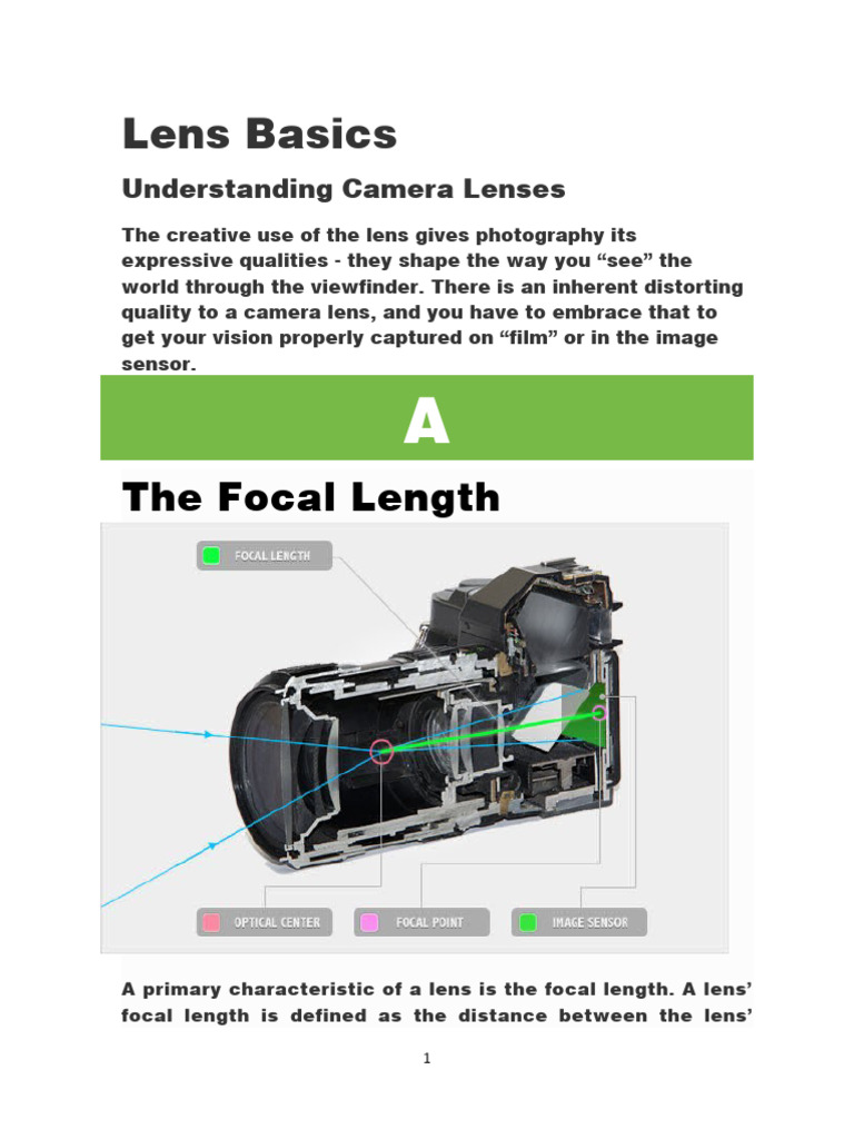 Lens Basics | PDF | Camera Lens | Camera