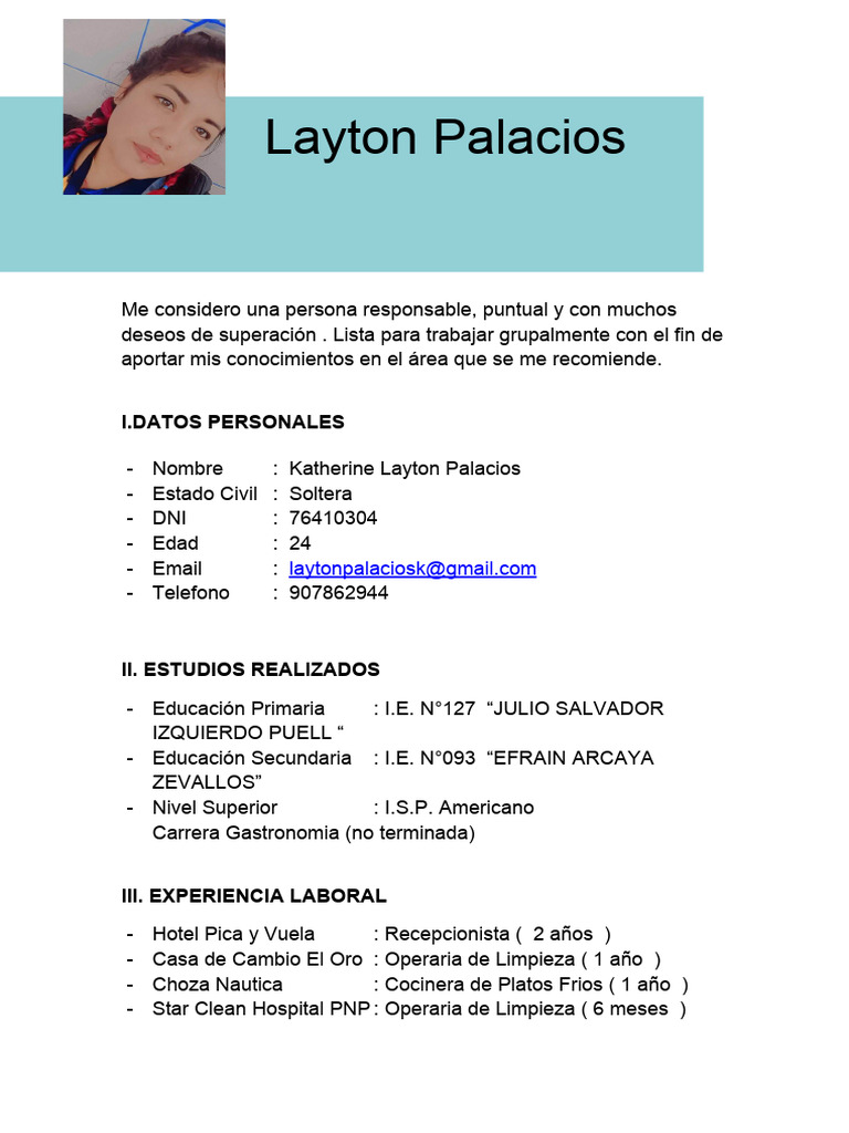 Modelo Curriculum para Editar en WORD | PDF