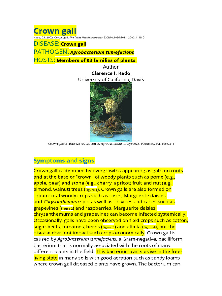 Crown Gall | PDF | Biology | Organisms