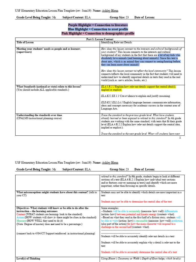 2 Supervisor Lesson Plan 1 | PDF | Educational Assessment | Rubric ...