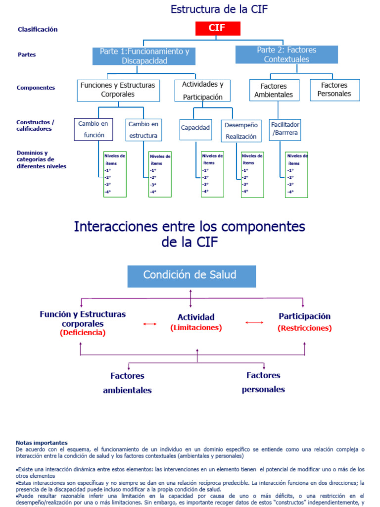 Estructura e Interaccion de La Cif | PDF | Invalidez | Conceptos psicologicos