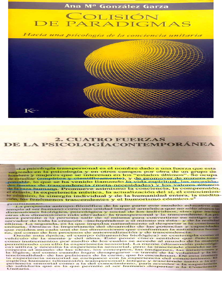 Colision de Paradigmas | PDF