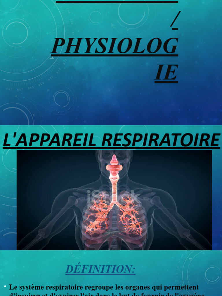 Anatomie de l'Appareil Respiratoire | PDF | Système respiratoire ...