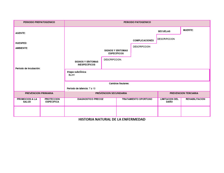 Hne Plantilla | PDF