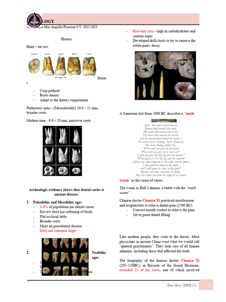 Cariology Notes Pdf Dental Anatomy Tooth Enamel