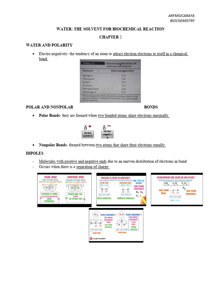 Biochemistry: Water's Role in Reactions | PDF | Chemical Polarity | Acid